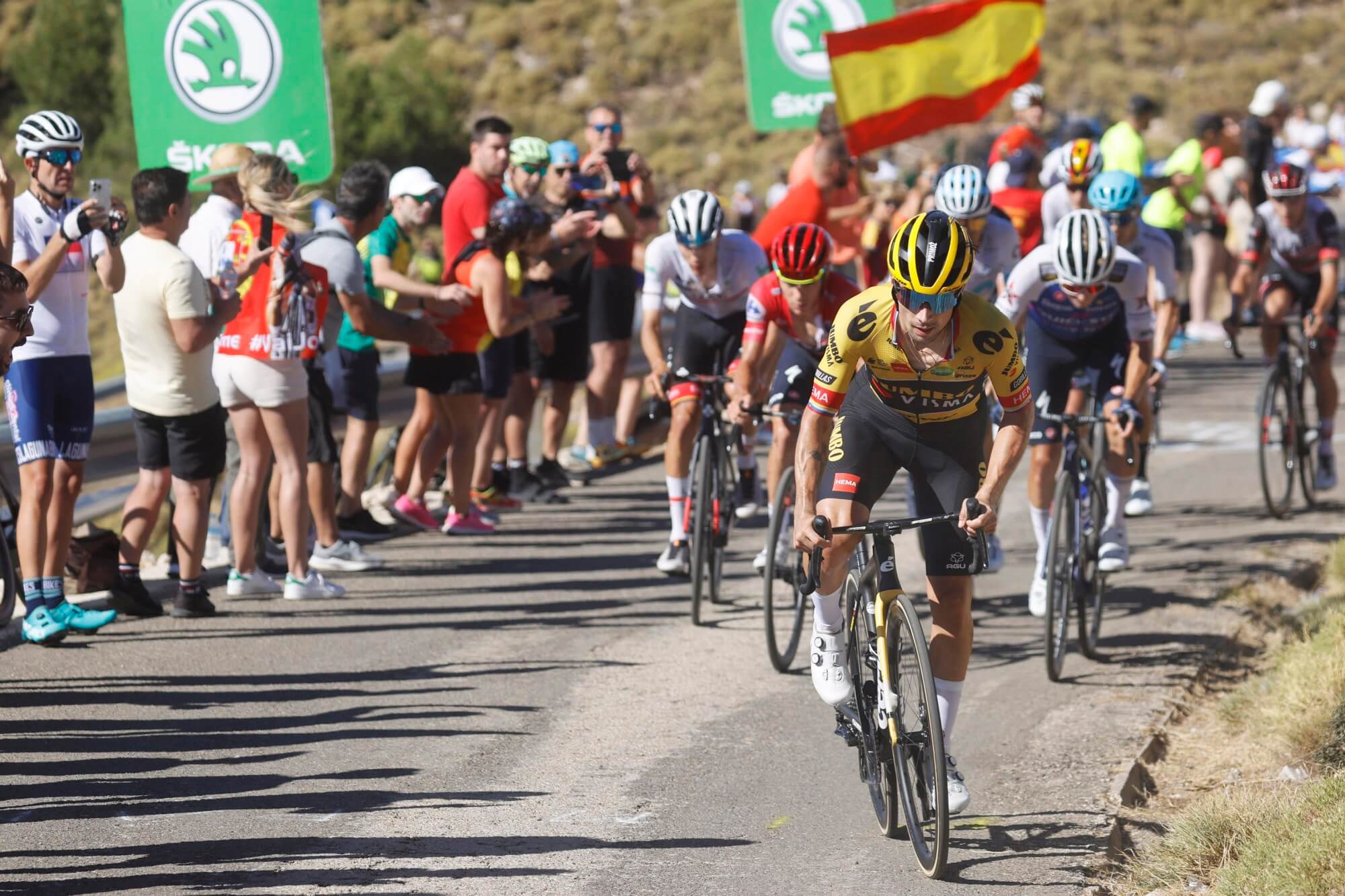 Primoz Roglic over eventuele transfer: 'Waar kan ik heen als ik al bij ...